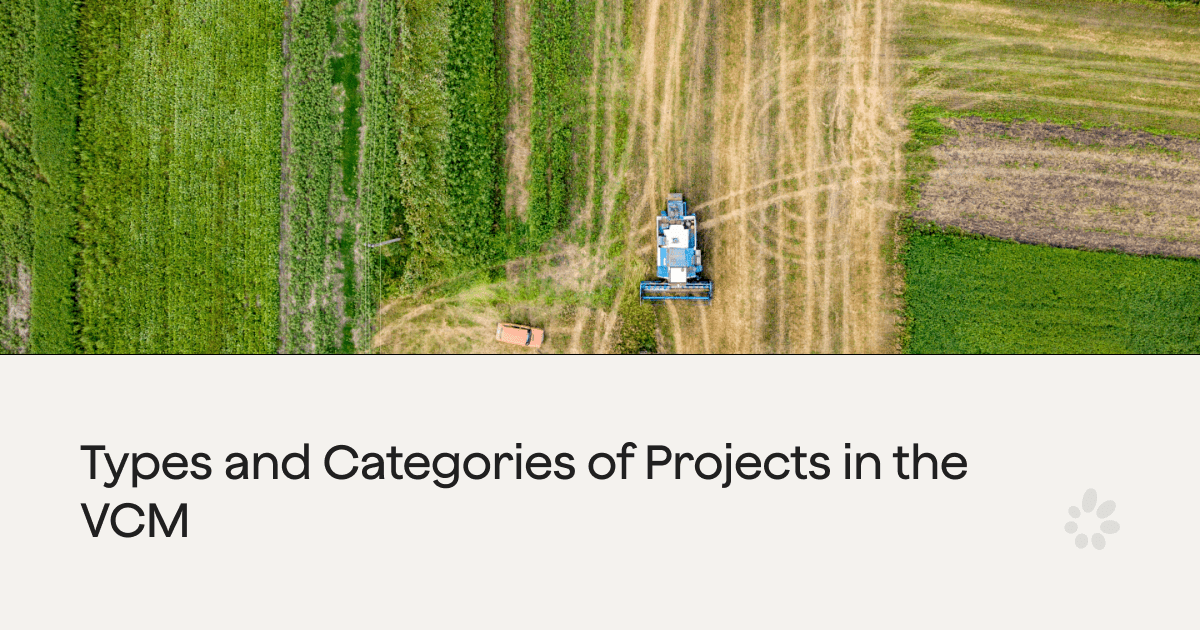 Types and Categories of Projects in the VCM